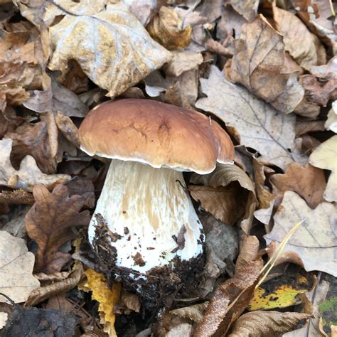 Роман Вчора біля церкви Миколи Притиска підійшов до екскурсійної групи екскурсовод якої