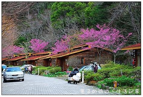 住宿台中武陵國民賓館 桃花莊 葉子 ღ 旅樂茶飯事 痞客邦