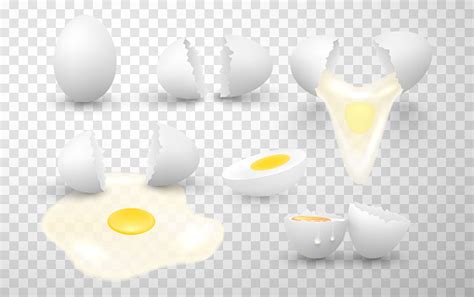 닭 계란 전체 반쪽 금이 깨진 유출 원시 삶은 껍질 세트 알부민 노른자 0명에 대한 스톡 벡터 아트 및 기타 이미지 0명 3차원 형태 가금류 Istock