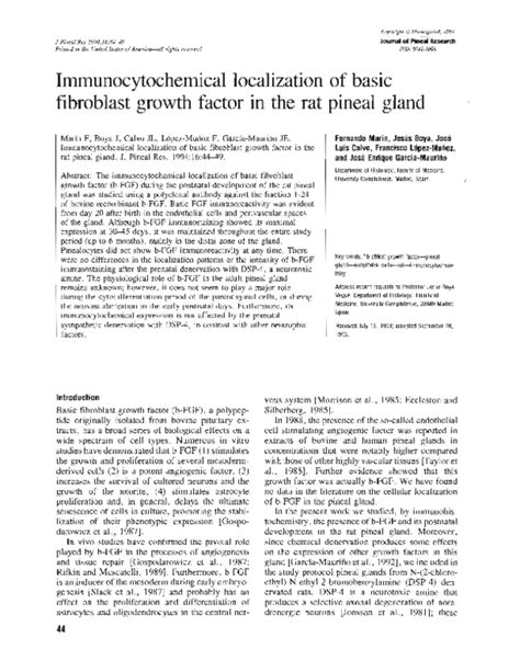 Pdf Isolation Of An Amino Terminal Extended Form Of Basic Fibroblast