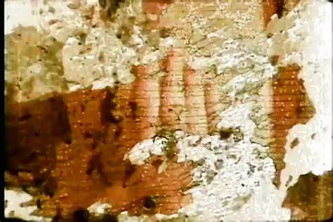 湿裆沙龙 升级到全高清 xHamster