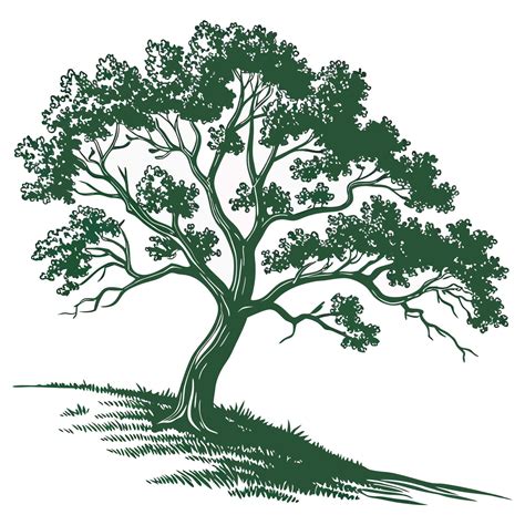 Abstract Green Tree Drawing For Creative Projects 55179527 Vector Art At Vecteezy