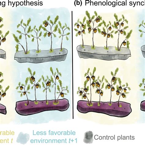 Graphical Representation Of Resource Matching Switching And Storage Download Scientific