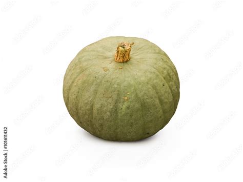 Light Green Squash