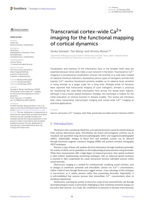Pdf Transcranial Cortex Wide Ca2 Imaging For The Functional Mapping Of Cortical Dynamics