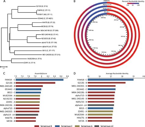 Whole Genome Sequence Comparison Of M16917 With Complete N