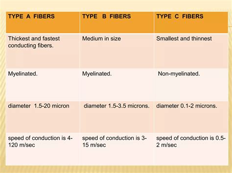 Neuron And Its Structural And Functional Type By Murtaza Syed Pptx