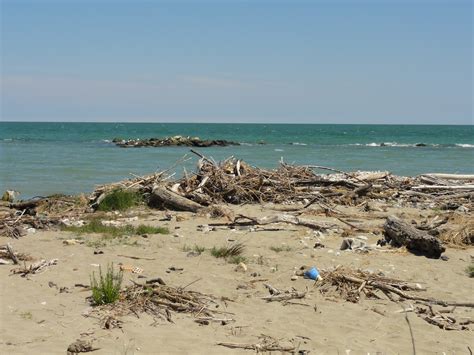 Visit Ravenna Beaches Best Of Ravenna Beaches Tourism Expedia Travel