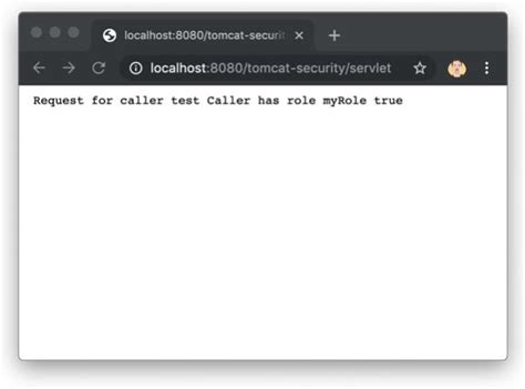 Using Jakarta Security On Tomcat And The Payara Platform
