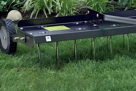 Dethatching St Augustine Grass Unlocking Your Lawns Potential Gardening Latest