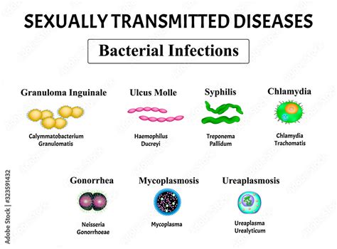 Chlamydia Bacterial Infection