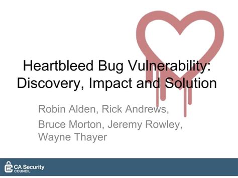 Heartbleed Bug Vulnerability Discovery Impact And Solution Ppt
