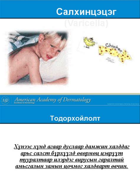 салхинцэцэг Pdf