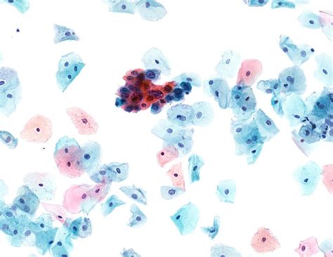 TCT Sample 菘毅系統股份有限公司