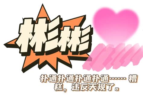 彬彬的个人博客
