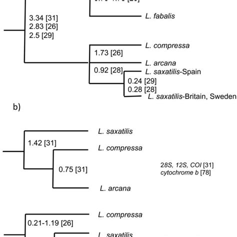 Sequence Alignment View Of A Single Binary Sequence Alignmentmap Bam Download Scientific
