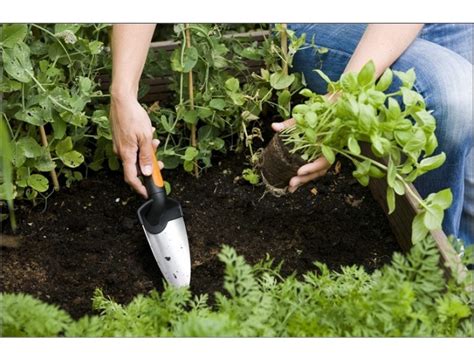 Садовый совок Fiskars Premium Solid