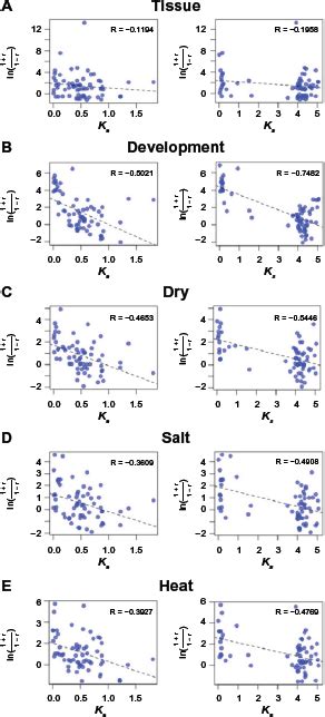 The Relationship Between The Correlation Coefficient R Of Gene