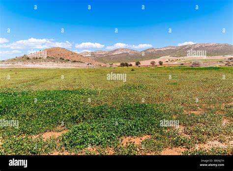 In This Semi Arid Region A Rich Culture Of Water Has Historically Allowed The Agricultural