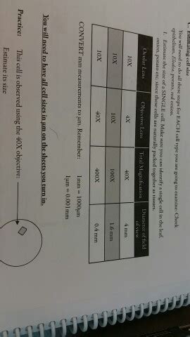 Solved How Will I Estimate The Size Of That Cell Chegg Com