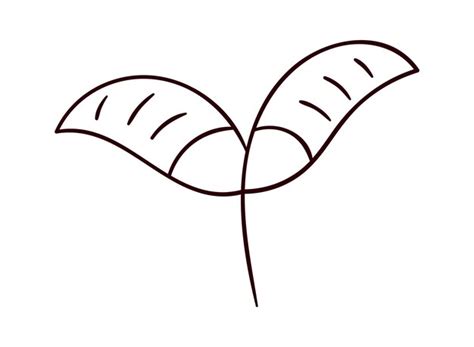 Premium Vector Floral Leaf Lined