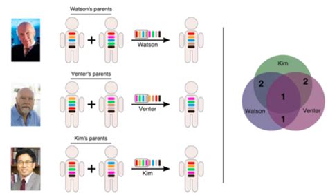 Wk 6 Lec 2 Biological Determinism Flashcards Quizlet