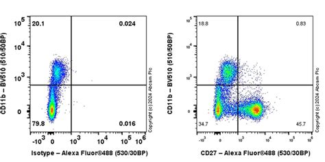 Anti Cd27 Antibody [epr27428 9] Ab316959 Abcam
