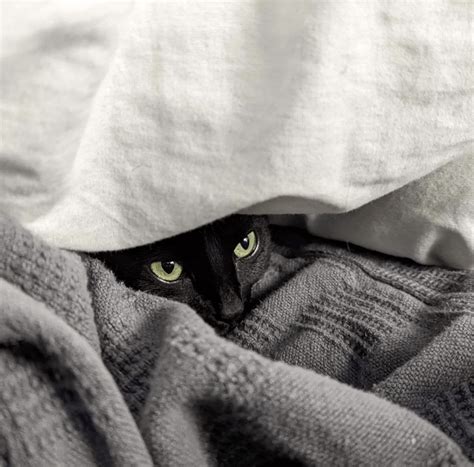 Babs Is Not Amewsed That We Havent Turned On The Heat Yet R