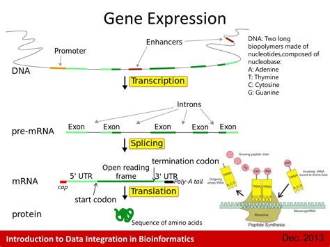 Introduction To Data Integration In Bioinformatics Pptx