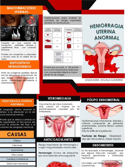 Hemorragia Uterina Anormal Pdf Ciclo Menstrual Menstruación