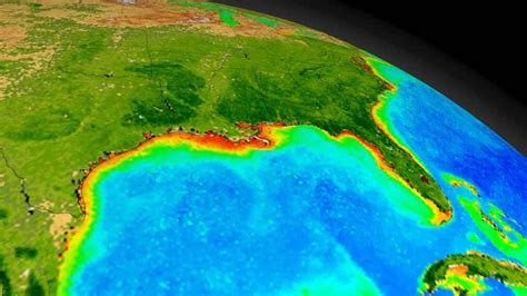 Todeszonen Im Meer Wachsen Massiv Mit Dramatischen Folgen Für
