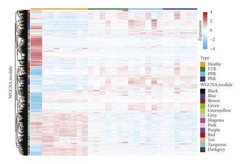 A Clustering Dendrogram Of Genes The Dissimilarity Of Genes Is Based