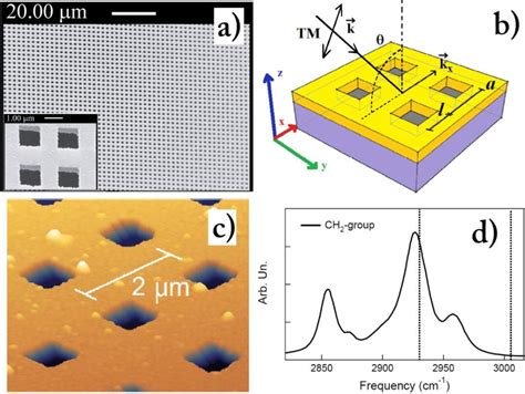 A Scanning Electron Microscopy Image Of The Square Metal Mesh B