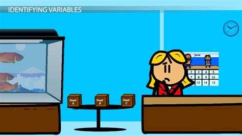 Experimental Hypothesis Importance Features And Examples Lesson