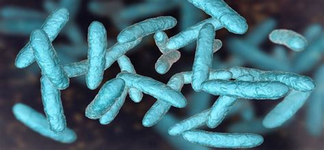 What Is Microbial Limit Test Labinsights What Is Microbial Limit Test Labinsights