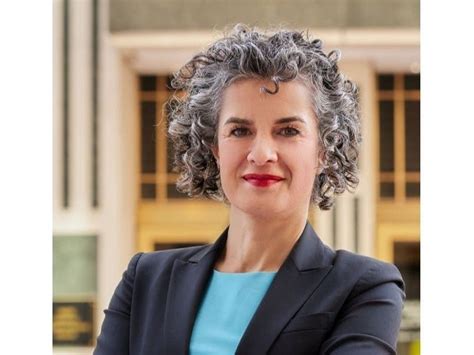 Arlington Commonwealths Attorney Dehghani Tafti Wins Primary Election Arlington Va Patch