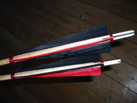 Different Types Of Arrow Fletching At Raymond Ceja Blog Different Types Of Arrow Fletching At Raymond Ceja Blog