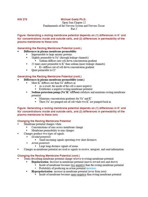 Kin 270 Unit 2 Neural Physiology Part 2 Pdf Action Potential Depolarization