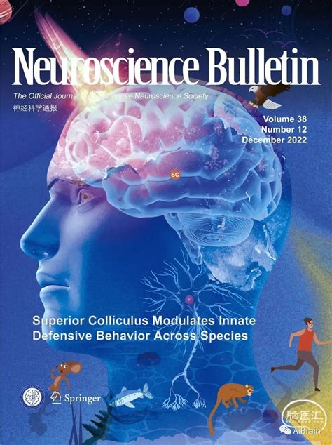 年终盘点，精彩纷呈丨2022年neuroscience Bulletin 封面文章汇总 脑医汇