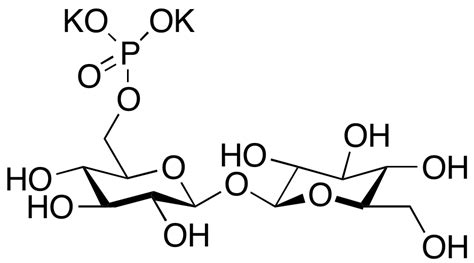136632 28 5海藻糖6 磷酸双钾盐trehalose 6 Phosphate Dipotassium Salt标准品最新报价