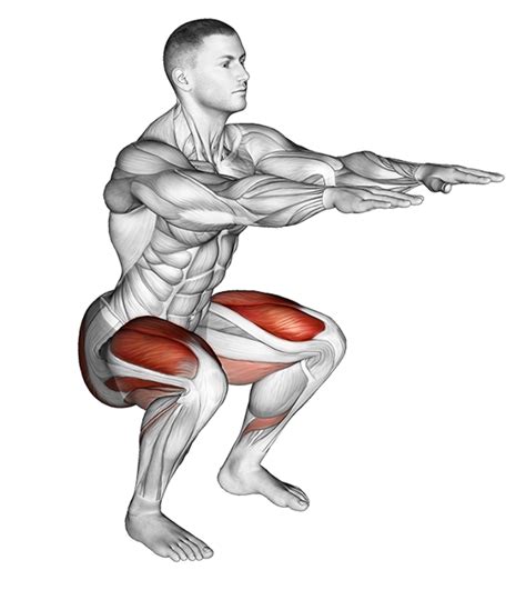 7 Best Bodyweight Squat Variations With Pictures Inspire Us