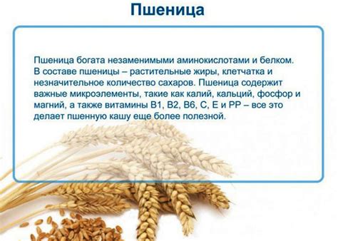 Что такое слайсы в кулинарии