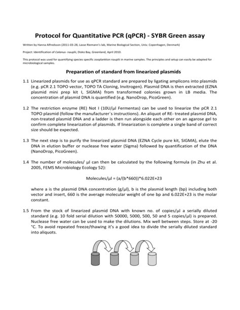 Protocol For Quantitative Pcr Qpcr Sybr Green Assay