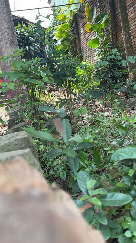 Michael E Gerber Added A New Photo Michael E Gerber