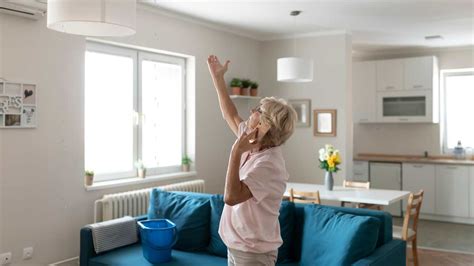 Fitness Nala Leaked Everything You Need To Know Healthy Foods