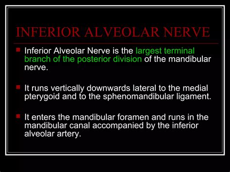 Trigeminal Nerve Mandibular Division Introduction Ppt