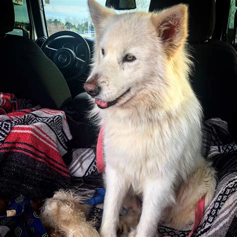 Ride Time For Freya Scrolller