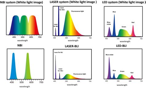 Wavelength Of Each Endoscopy System Nbi Figures Are Provided By Download Scientific Diagram