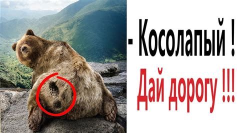 САМЫЕ СМЕШНЫЕ ВИДЕО МЕМЫ 2020 Убойная РЖАКА ДО СЛЁЗ Domi Show Youtube