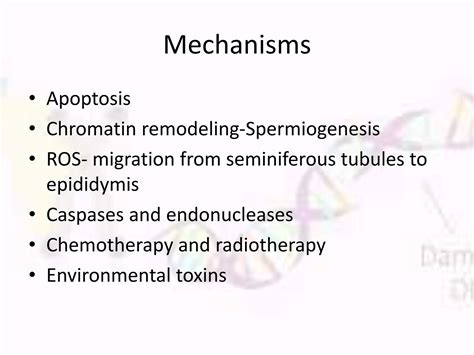 SPERM DNA DAMAGE SPERM DNA FRAGMENTATION Pptx